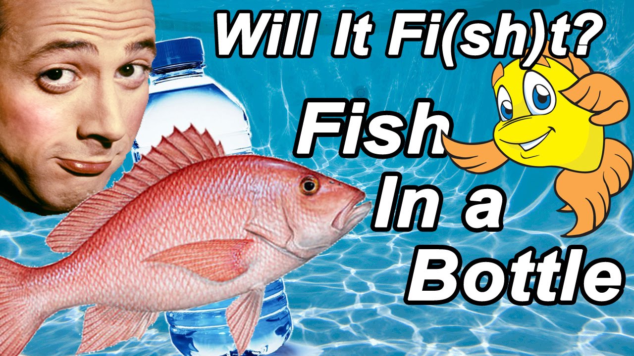 Will It Fit(sh)? - Fish in a Bottle - YouTube