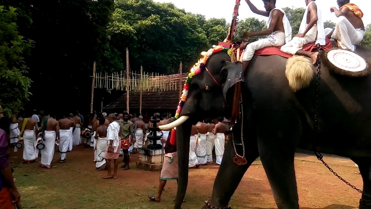 Kalasamala pooram 2016 - YouTube