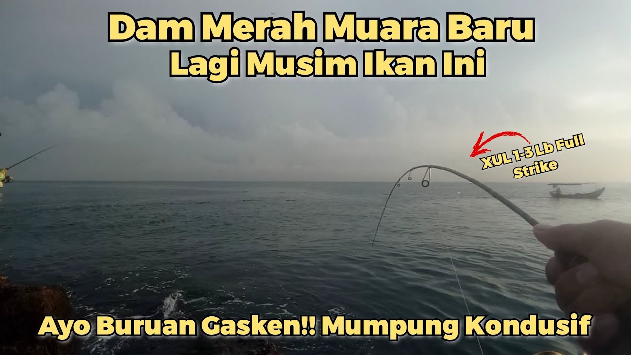 Musim ikan ini di dam merah muara baru!!! ayo gasken mumpung Kondusif ...