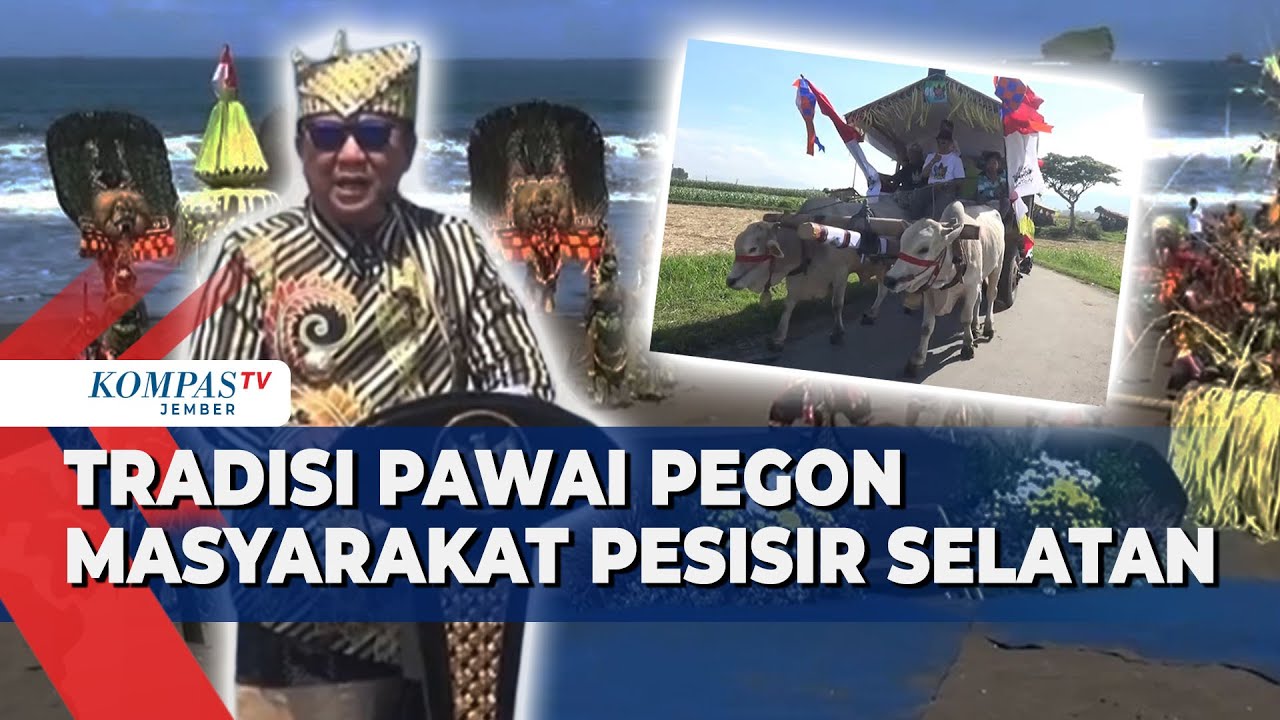 Tradisi Pawai Pegon di Pesisir Selatan Jember, Ada Pertunjukkan Tari ...