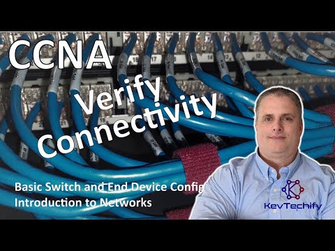 Verify Connectivity - Basic Switch and End Device Config - Intro to Net ...