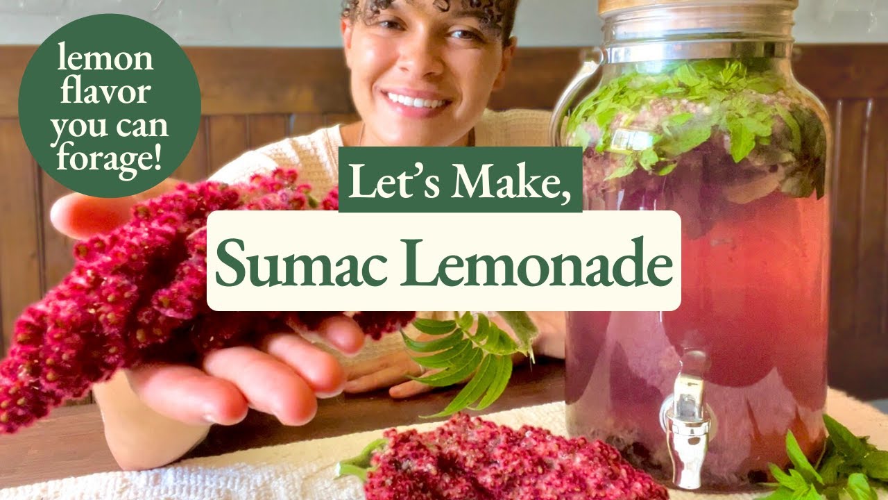 How to Make Sumac Lemonade: Foraging Sumac Spice - YouTube
