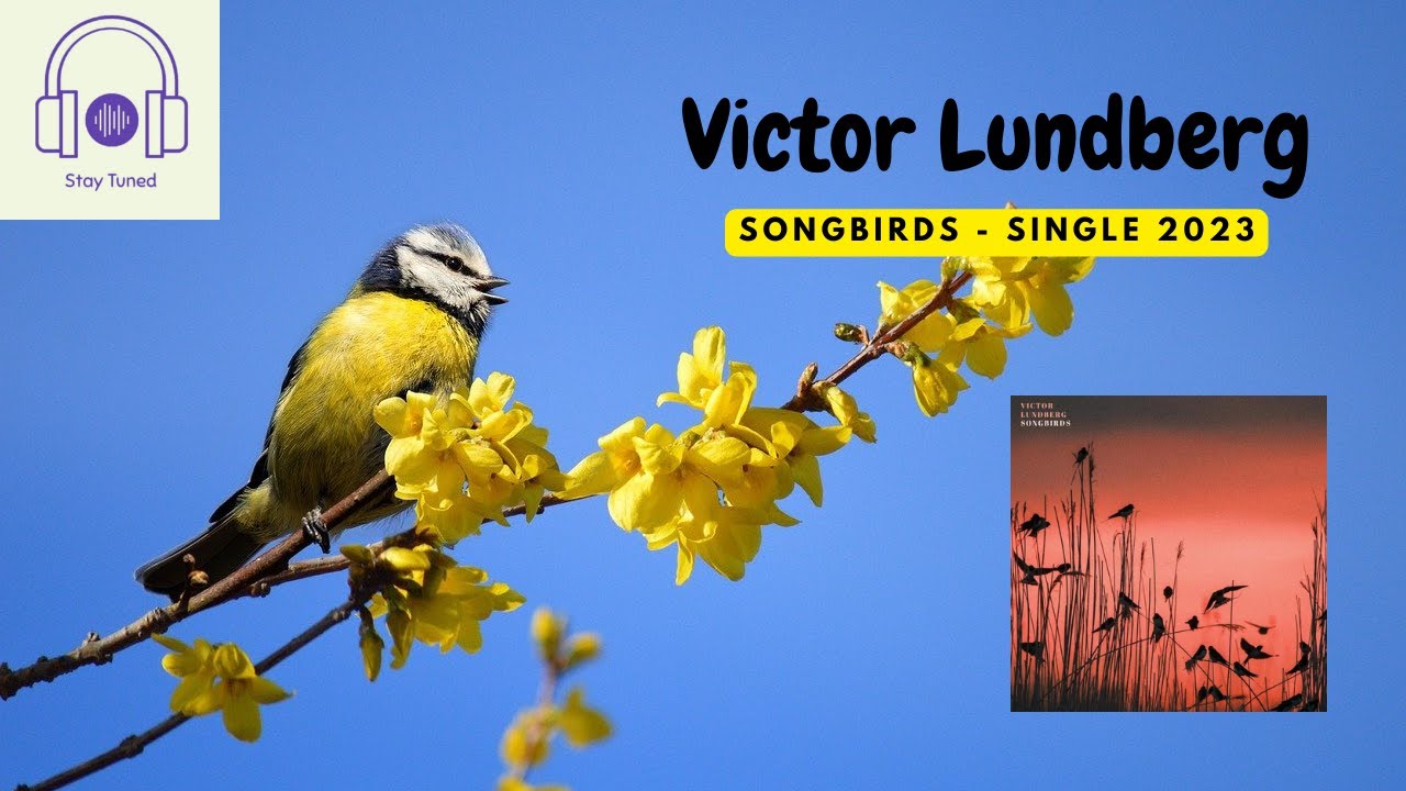 Victor Lundberg - Songbirds | Single 2023 | YouTune - YouTube
