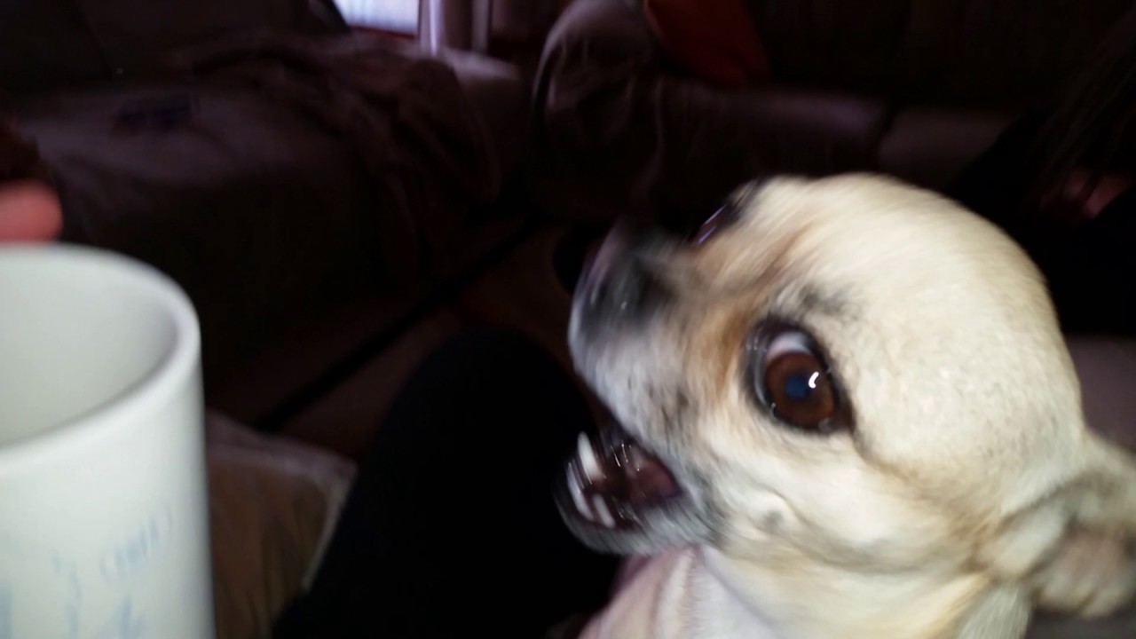 I want some tea - YouTube