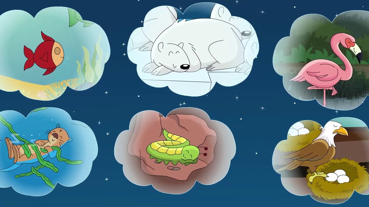 "Sleepy Sleepy Heads" Bedtime Lullaby Kids Song - YouTube