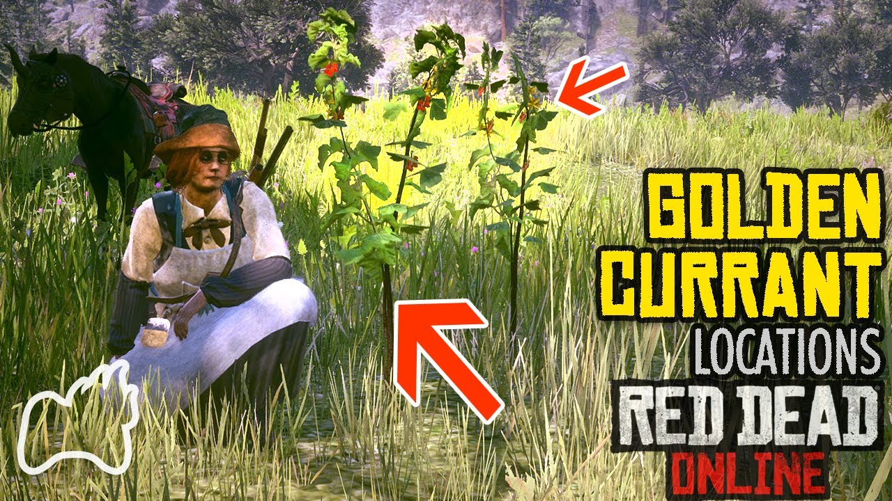 RED DEAD ONLINE Where to Find Golden Currant? 8 Locations Found - Daily ...