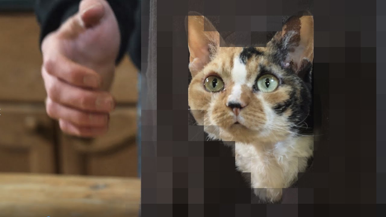 Making a cat house out of recycled materials - YouTube