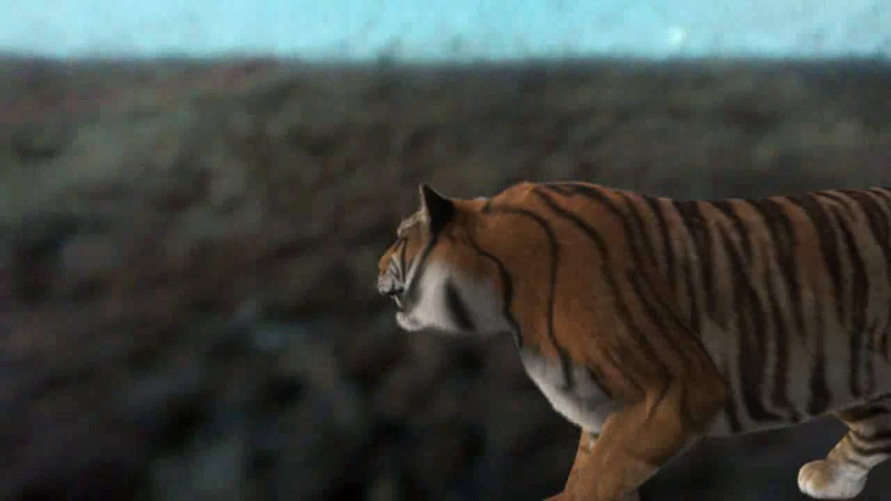 Oh no worries tiger - YouTube