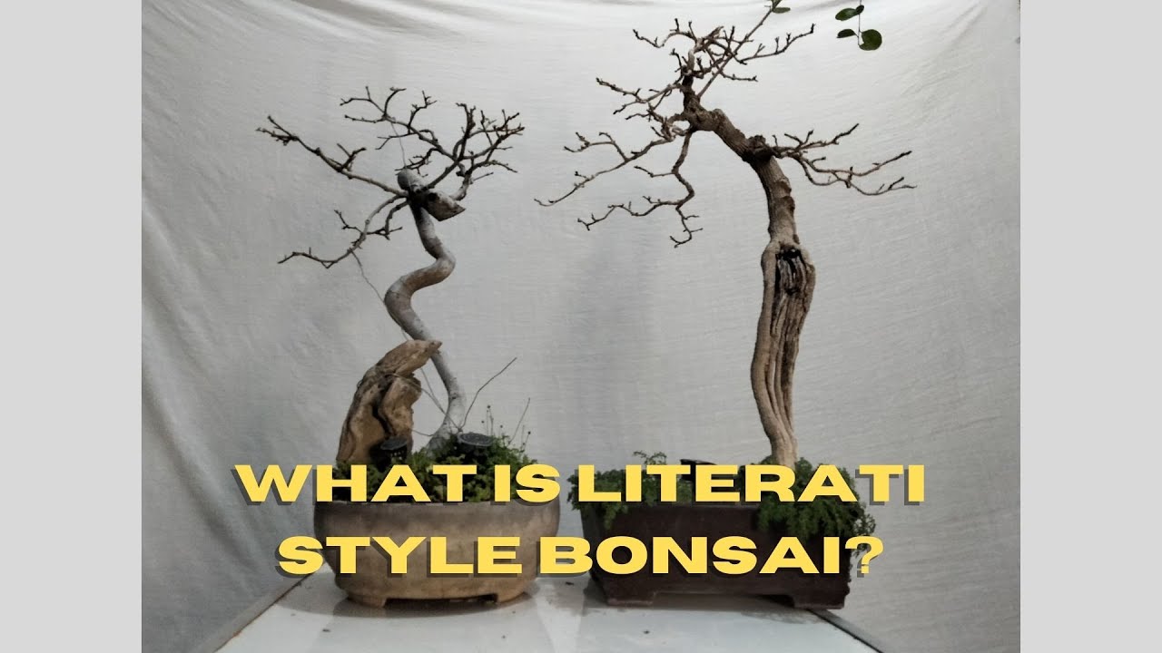 Insights on Literati Style Bonsai [w/ English Subtitles] - YouTube