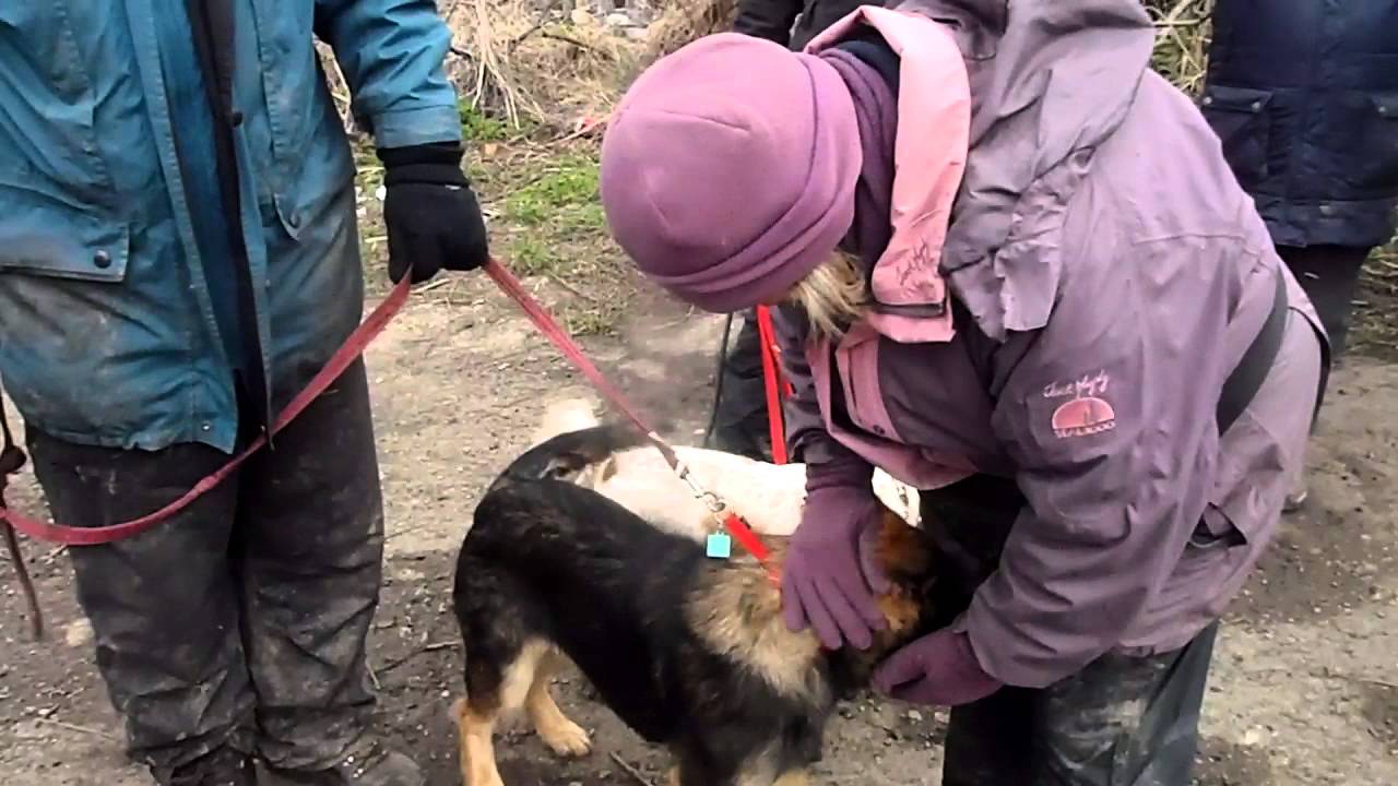 Storm Megan Feb 2013 007 - YouTube