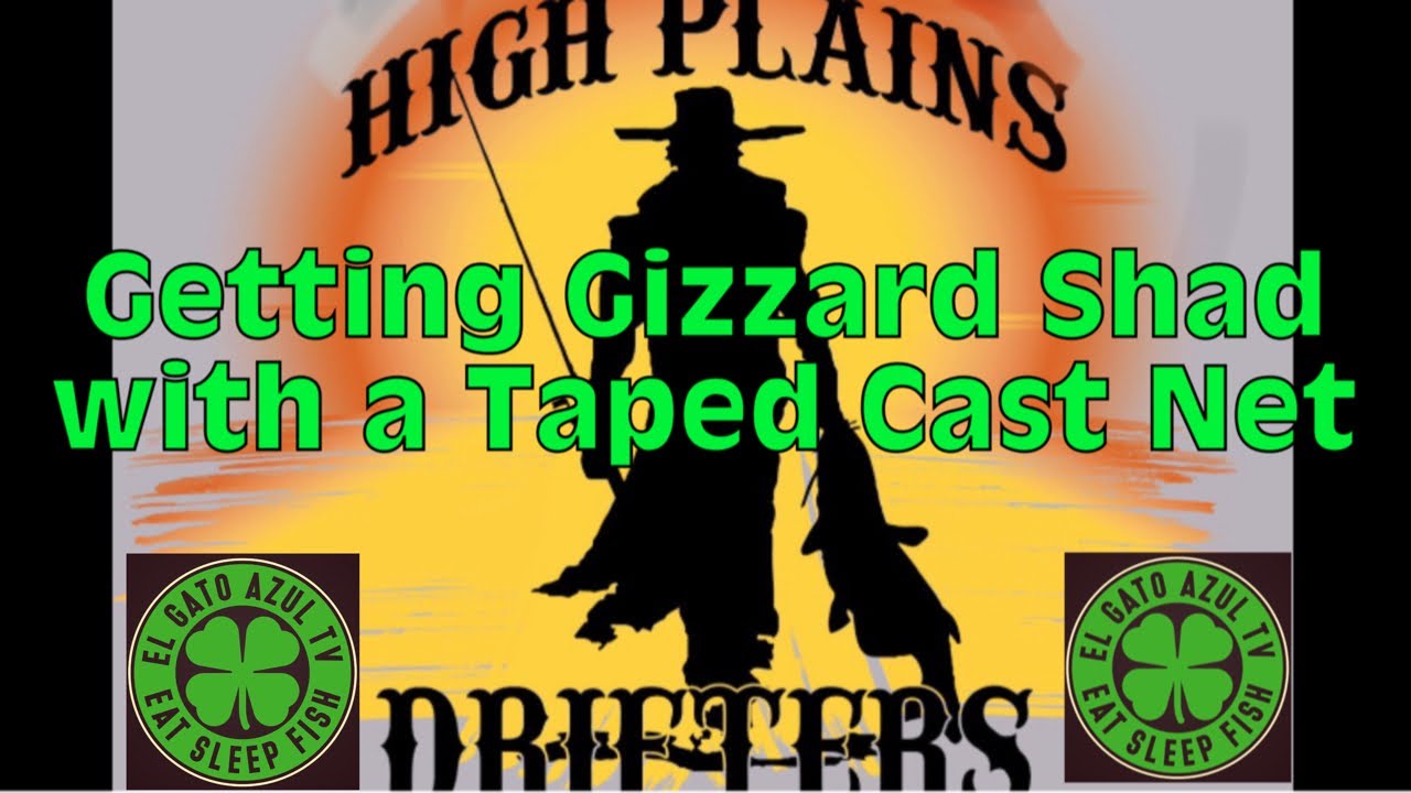 Getting Gizzard Shad with a Taped Cast Net - YouTube