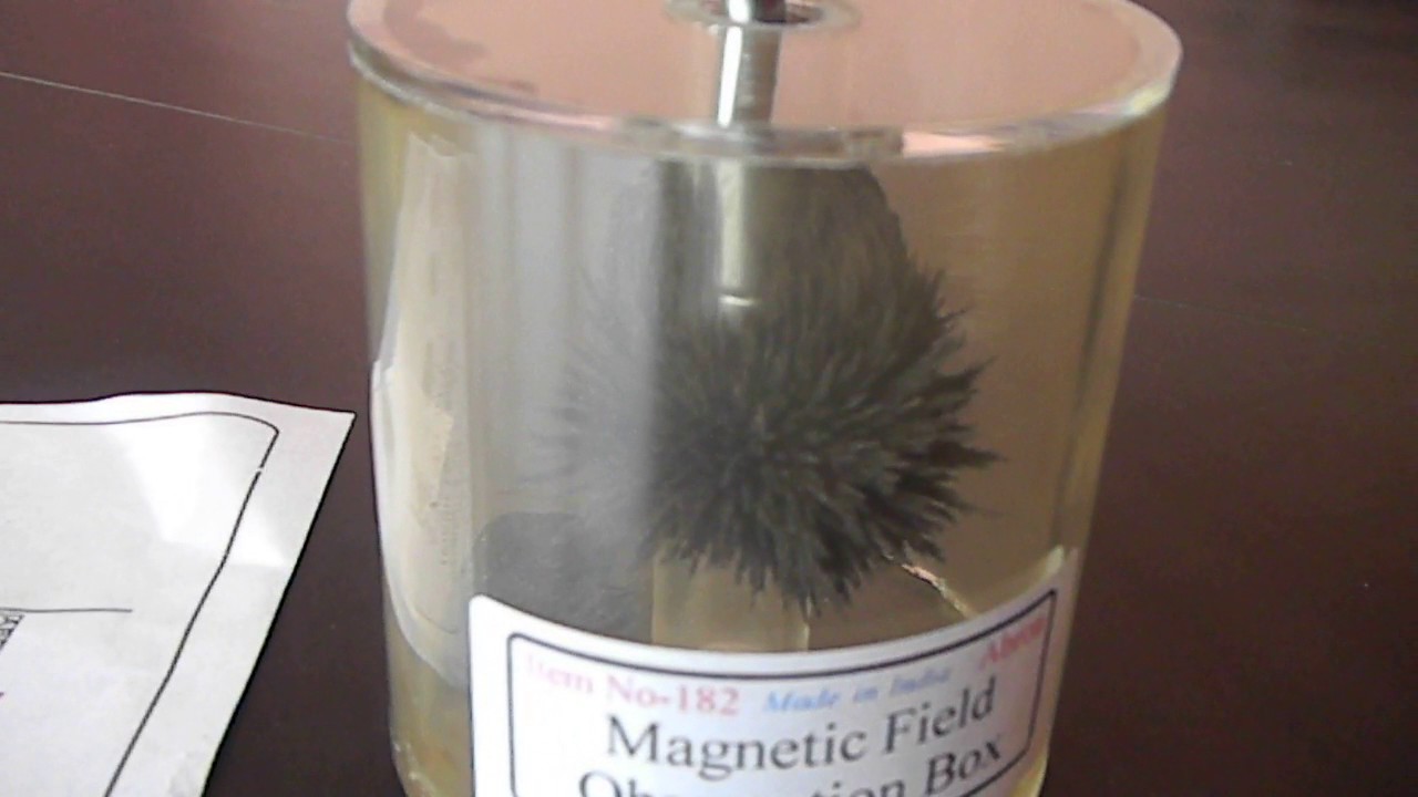 video physics magnetic field observation box iron filing magnet in ...