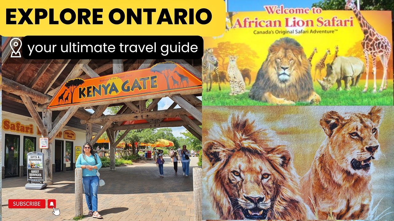 African Lion Safari Guided Tour | Hamilton, ON Canada |Things to Do in ...