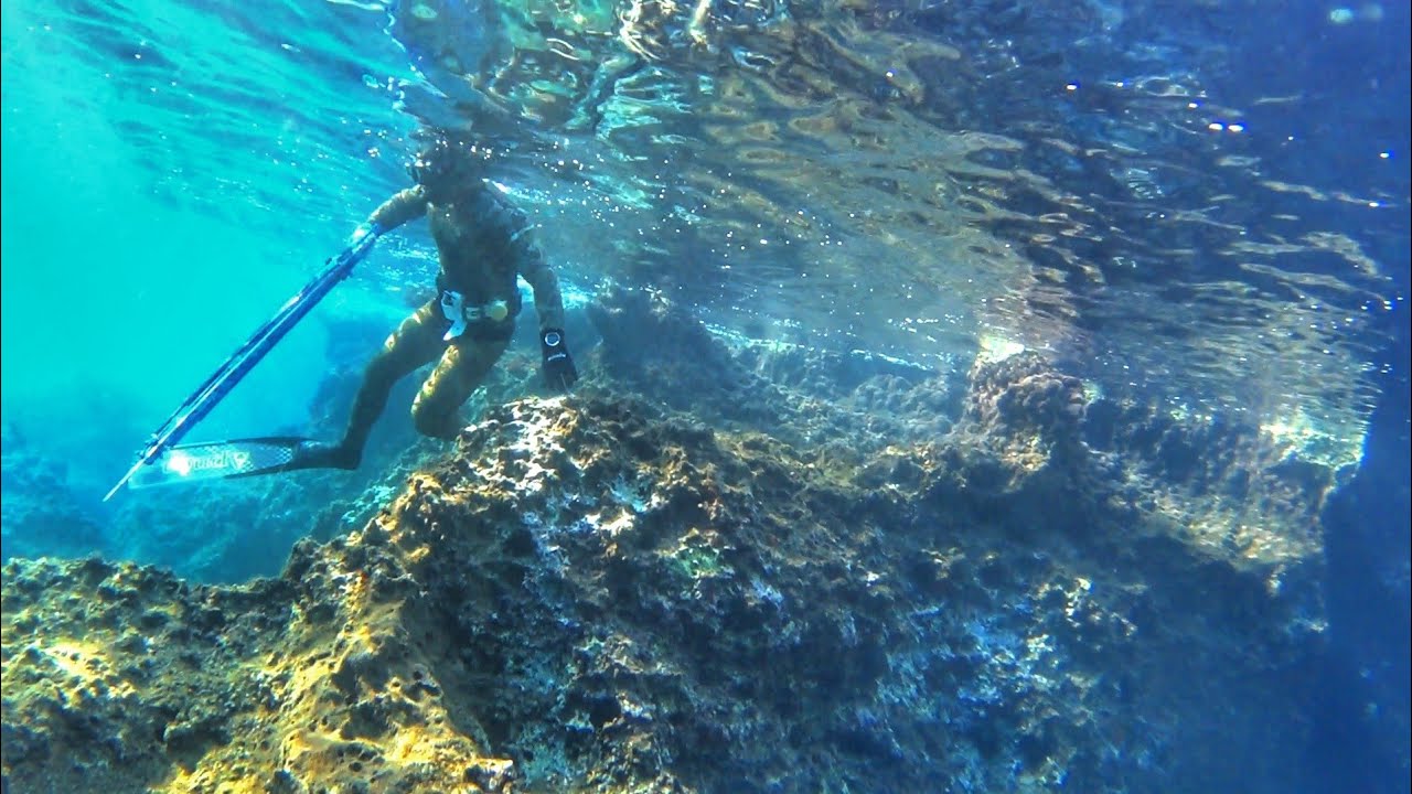 🇬🇷 Ψαροντούφεκο στον Μυστηριώδη Βυθό της Ελλάδας! - Spearfishing the ...