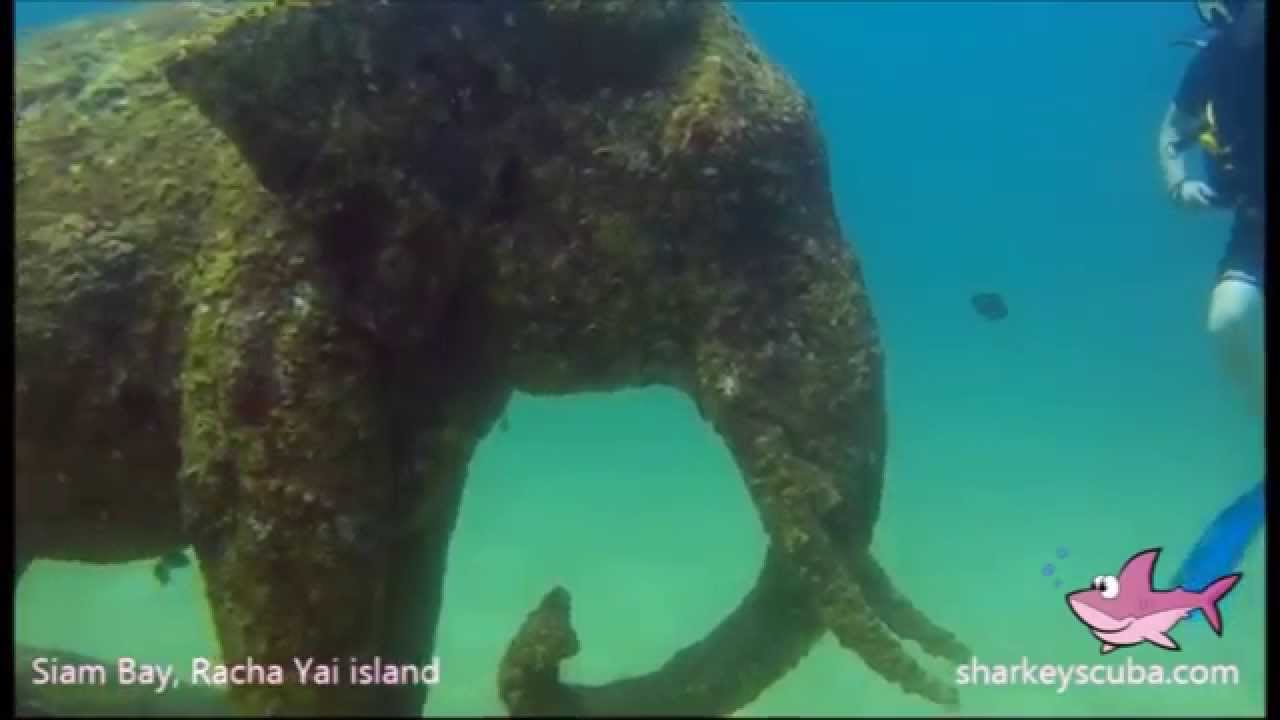 Diving with Elephant at Siam Bay - YouTube