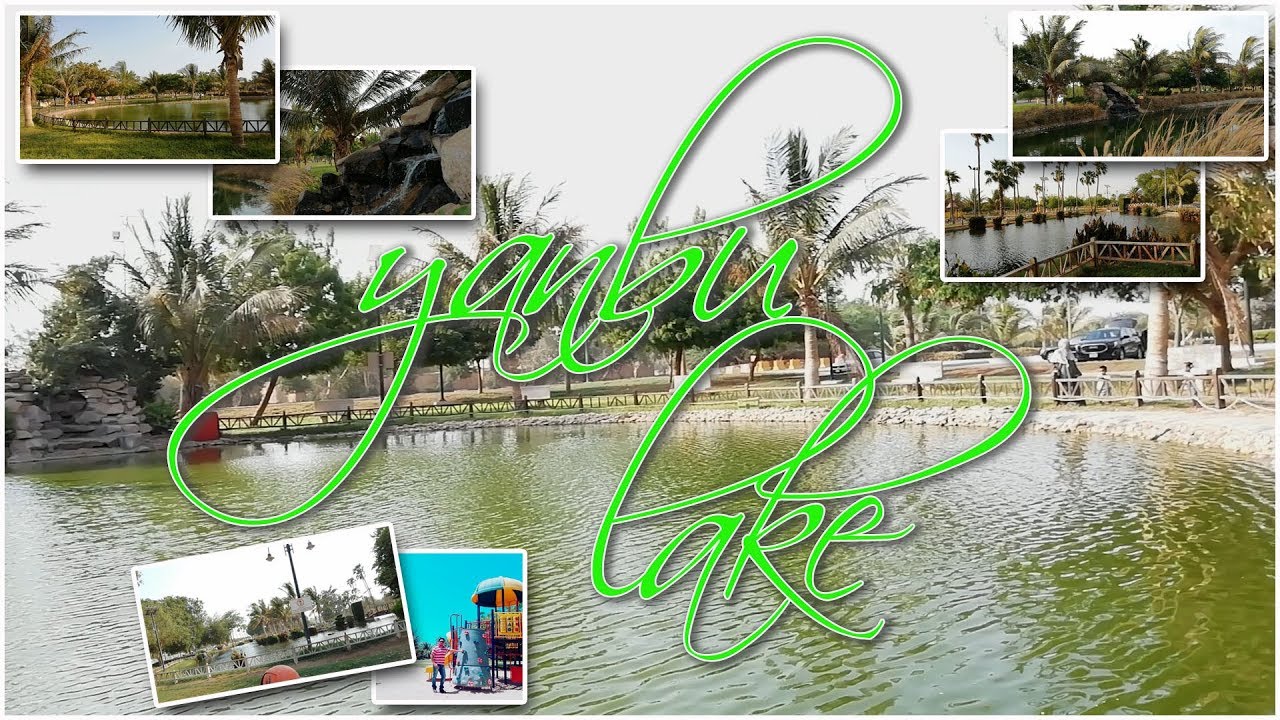 Green and Organic: Yanbu Lake Park | Yanbu, Saudi Arabia | Full Video ...