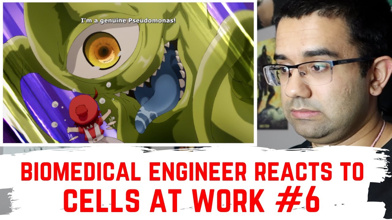 Biomedical Engineer Reacts to Cells at Work #6 - YouTube