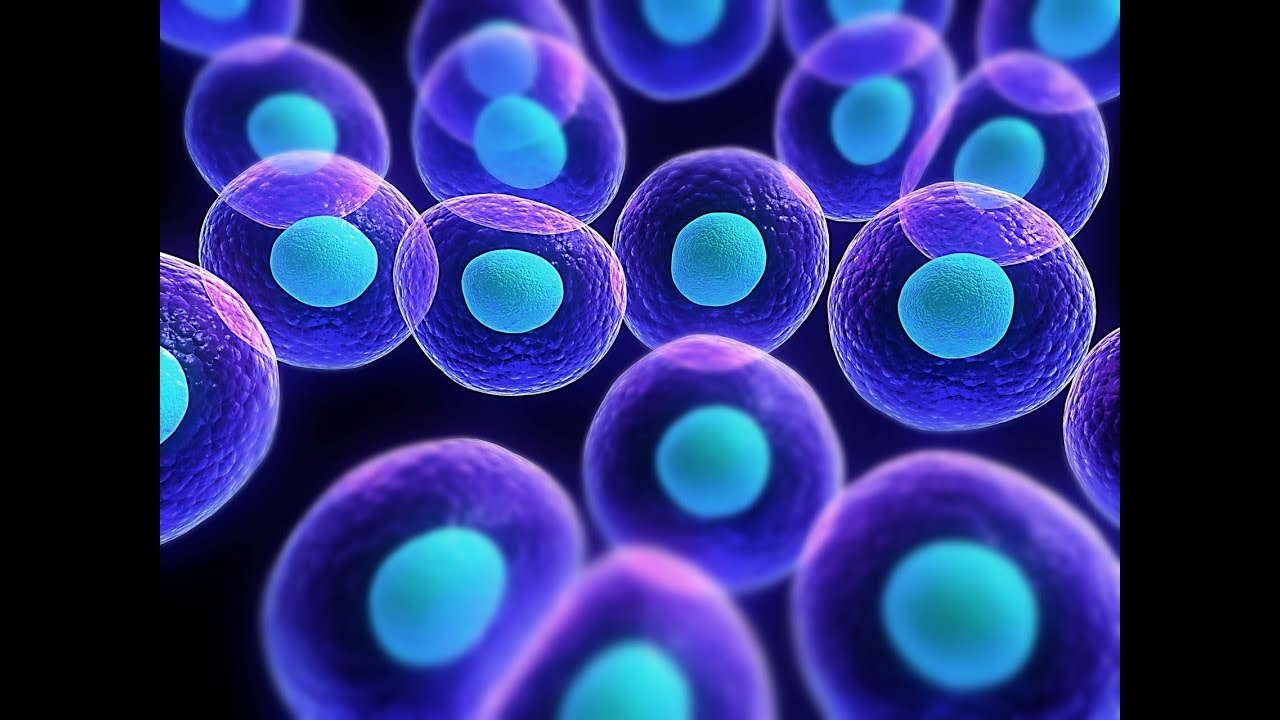 Biology and Microbiology of the Prototype Cell - YouTube