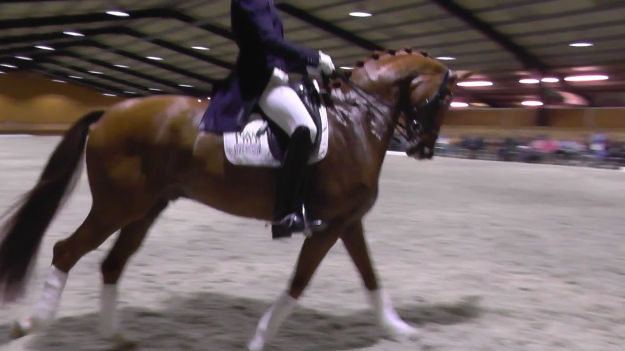 Luke Baber-Davies and his DISORONNO - YouTube