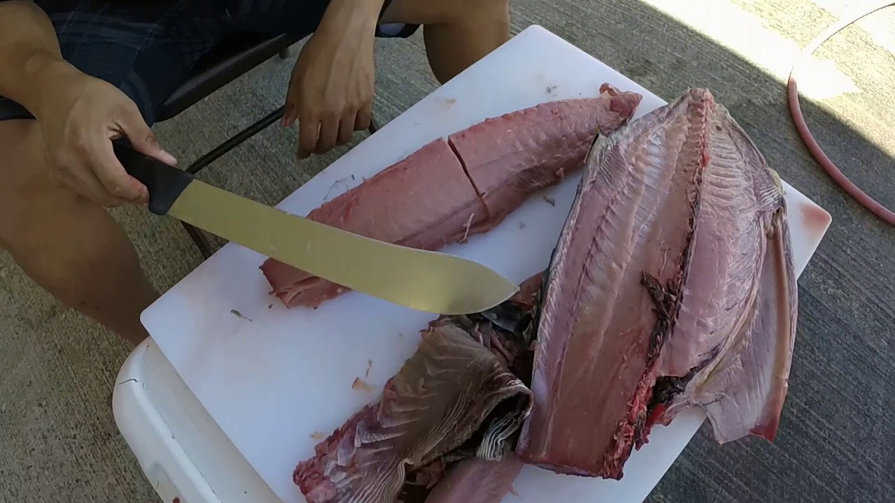 How to cut tuna quarter style - YouTube