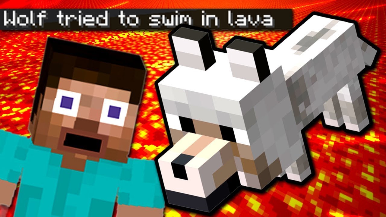 R.I.P. my minecraft puppy (you were loved) - YouTube