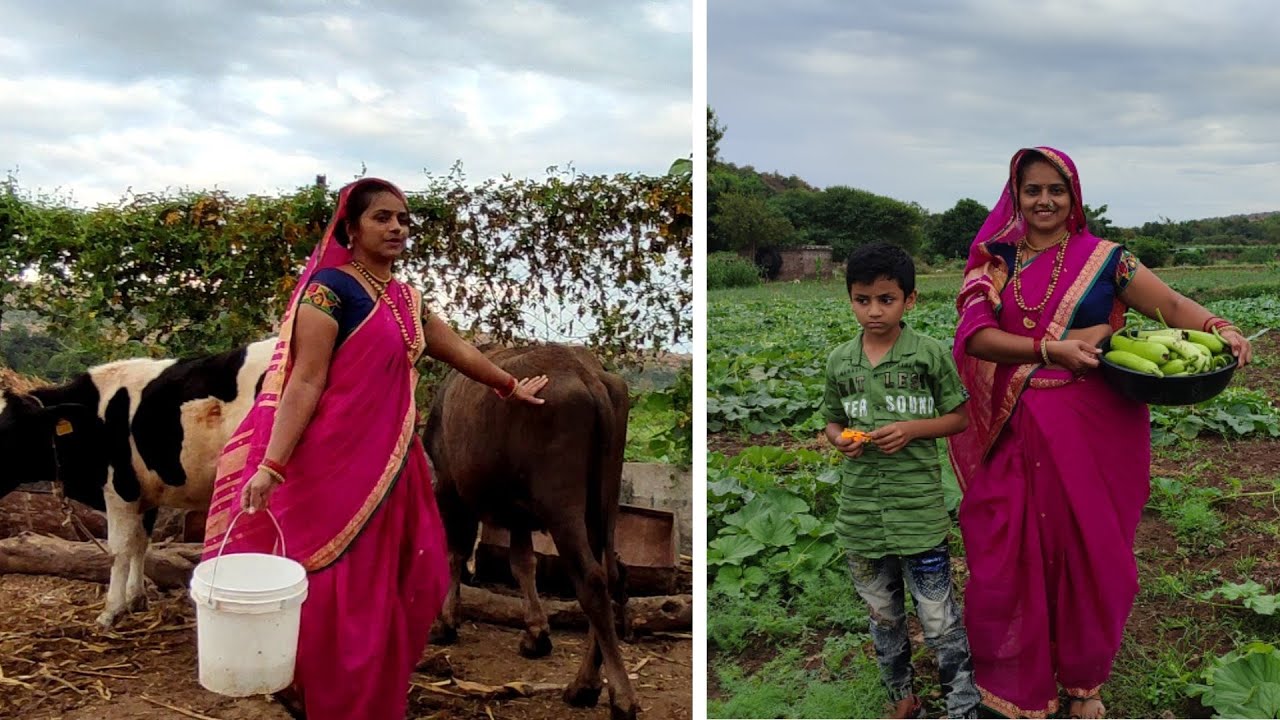 Maharashtrian kasta saree 2nd part very special #Cow milking by hand 💦💚 ...