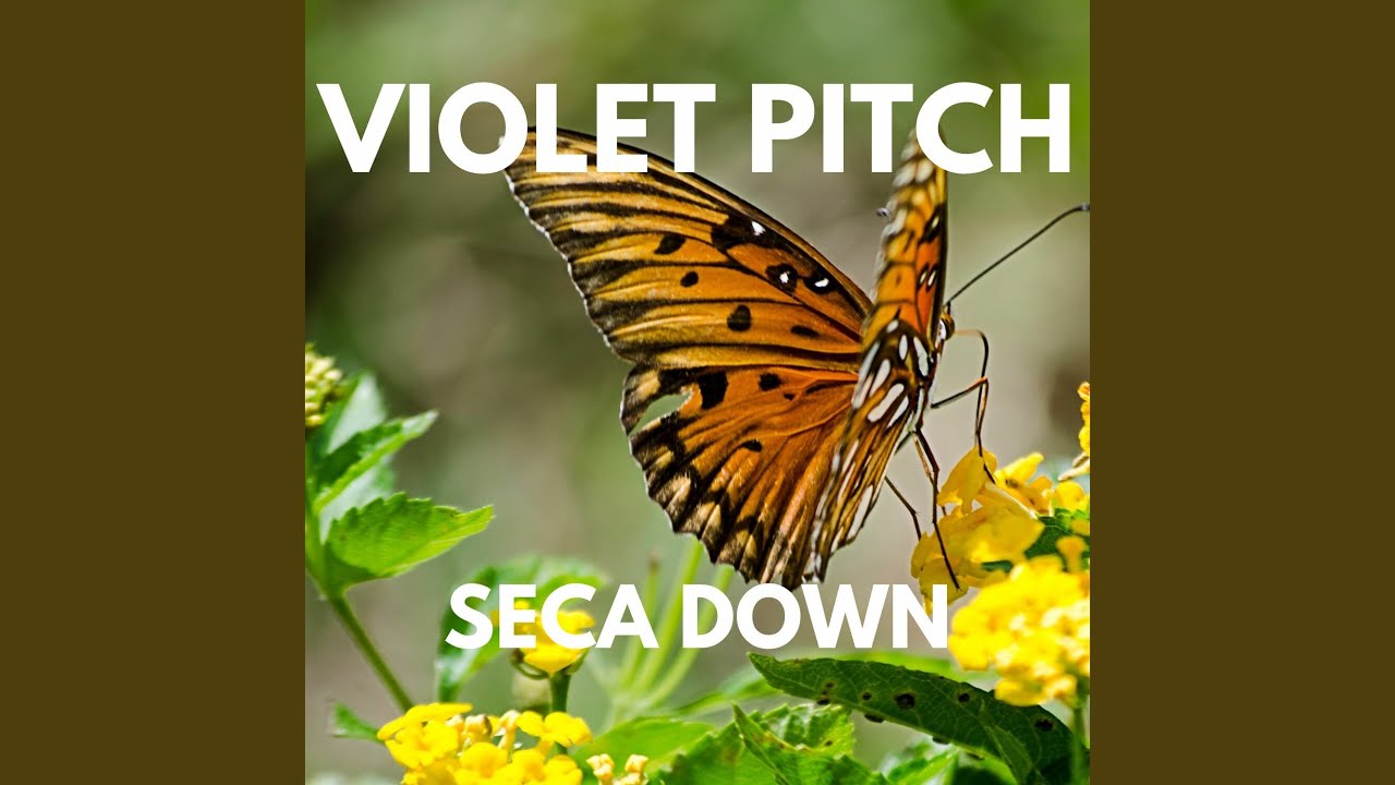 Jacqueline Robson (Pitch-4) - YouTube