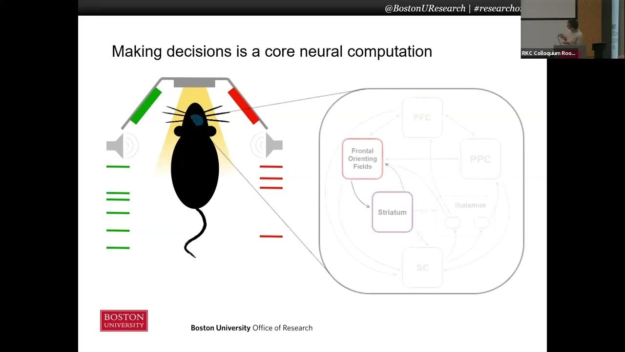Brian DePasquale: Deciphering Neural Algorithms Using Machine Learning and Neural Networks - YouTube