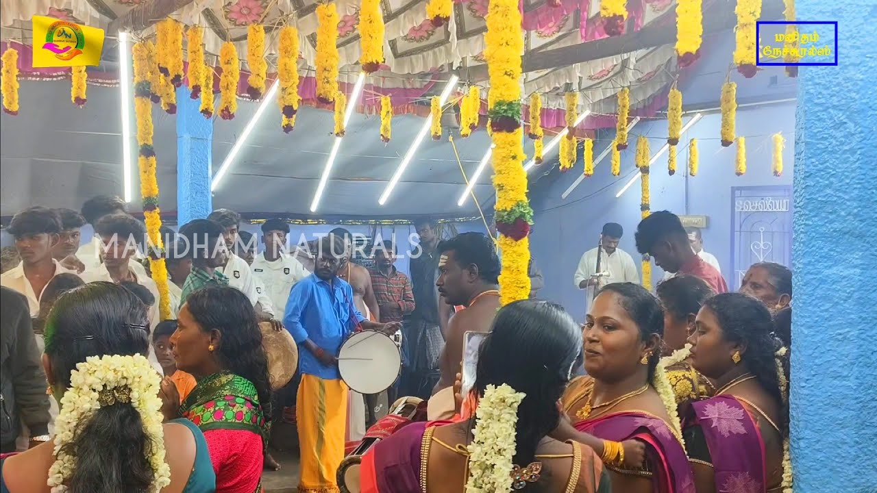 Vaniyankulam Amman Kovil Kodai Saami Aatam 2023 || Vijay Ammu Kompu Thappu | SV Kumar Naiyandi ...