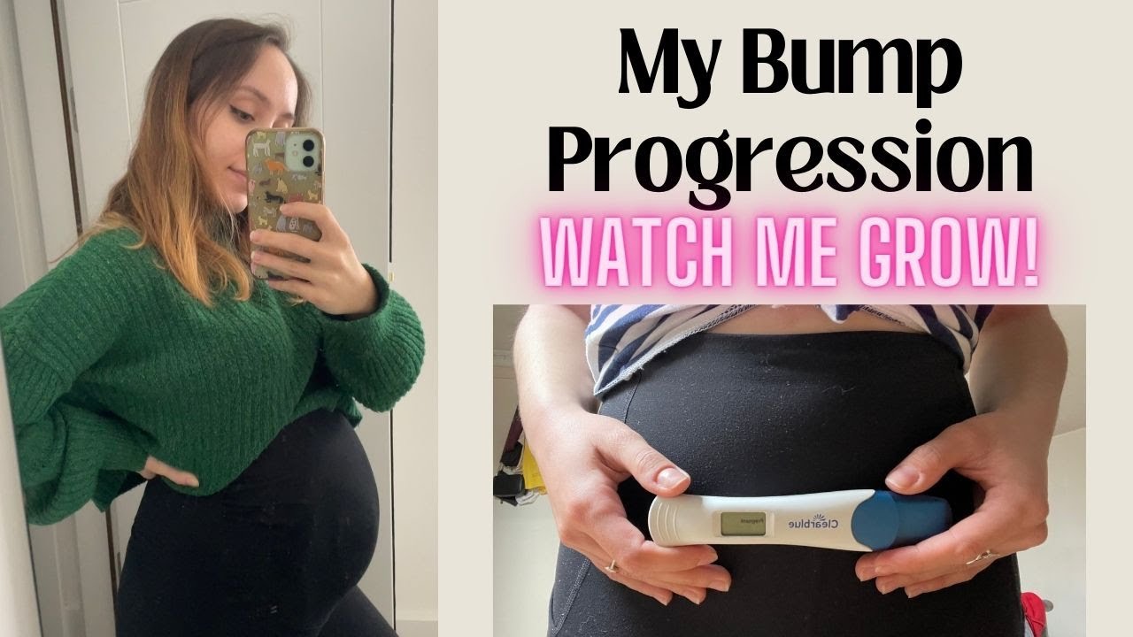 PREGNANCY TRANSFORMATION | Week By Week Bump Updates | BeatrizCreates ...