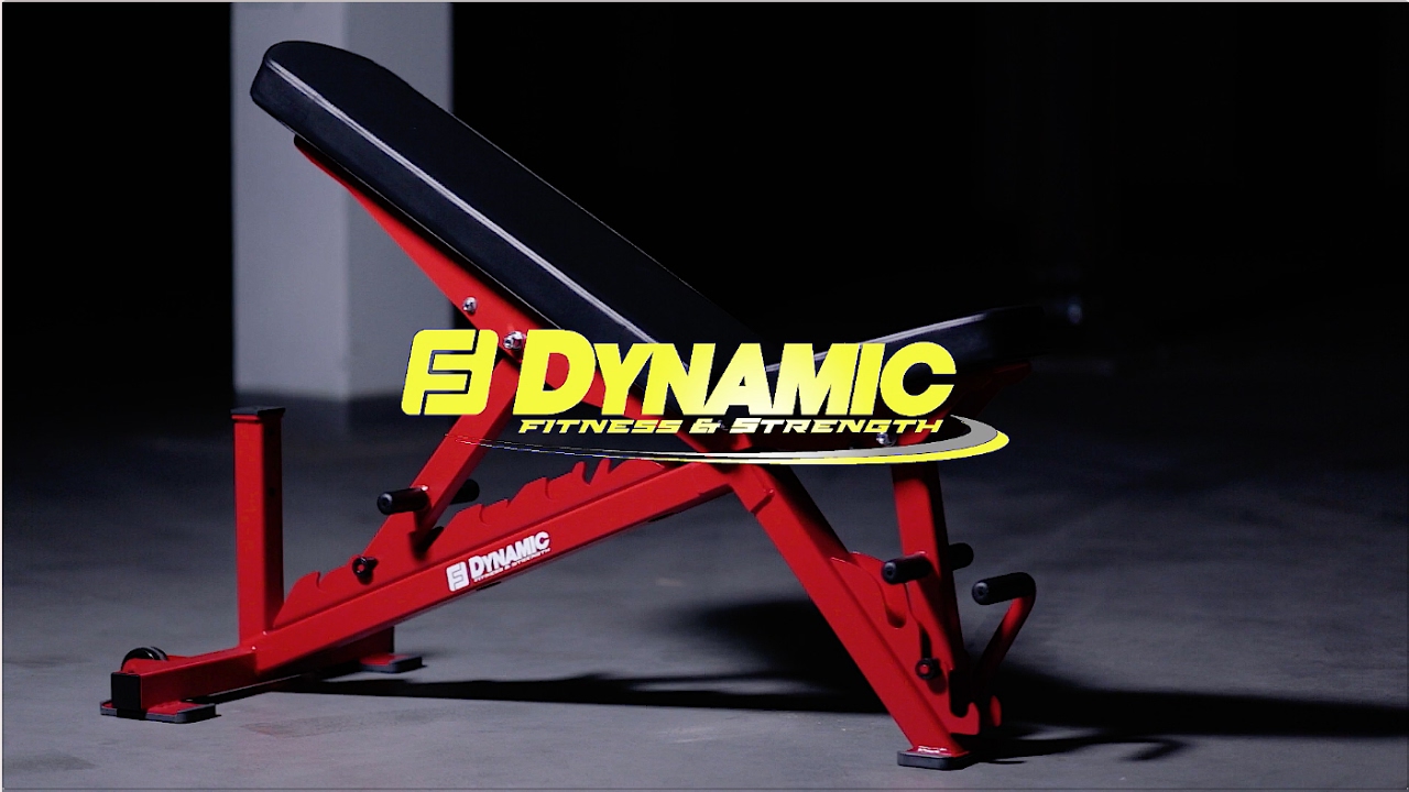 Accell Adjustable Bench - Dynamic Fitness & Strength - YouTube