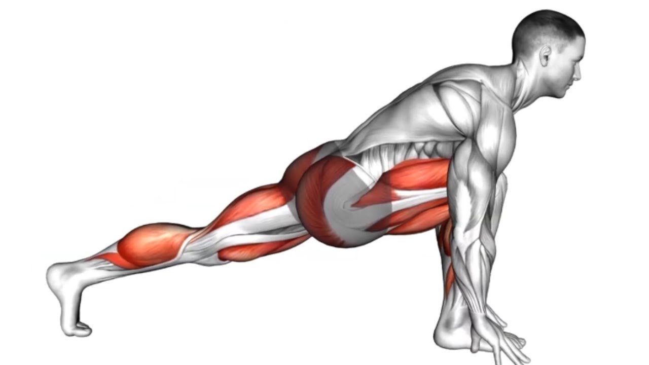 The Best Full Leg Stretch Routine for Hamstrings, Butt and Hips!🤸‍♀️ ...