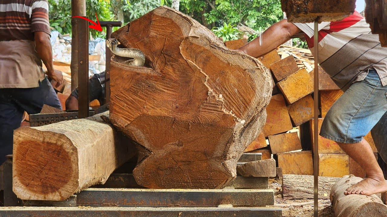 the process of sawing gold wood into blocks - YouTube