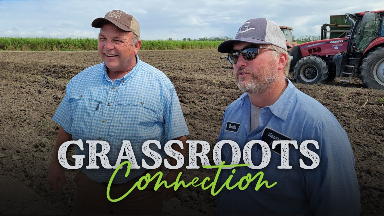 Grassroots Connection Part 2 - YouTube