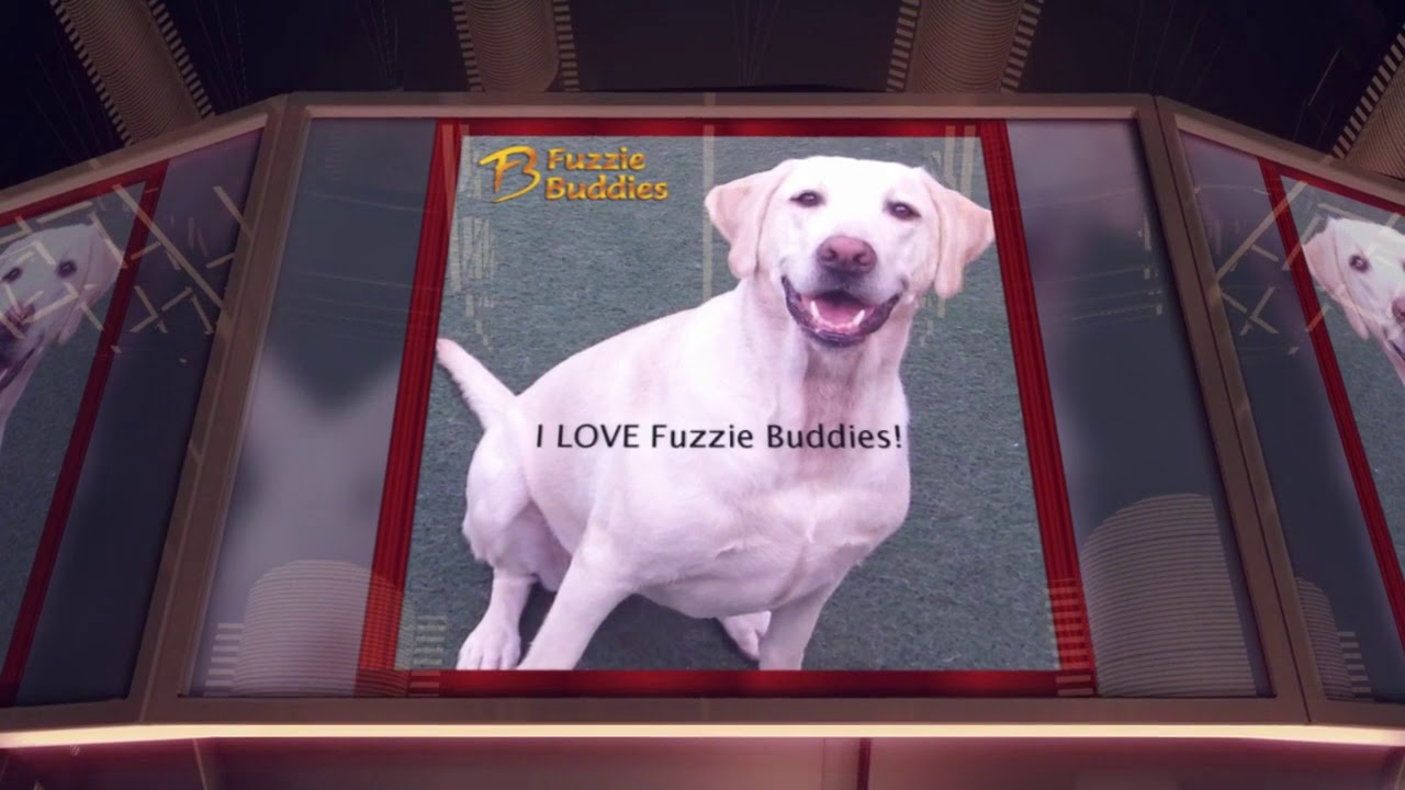 Fuzzie Buddies- I love it! - YouTube