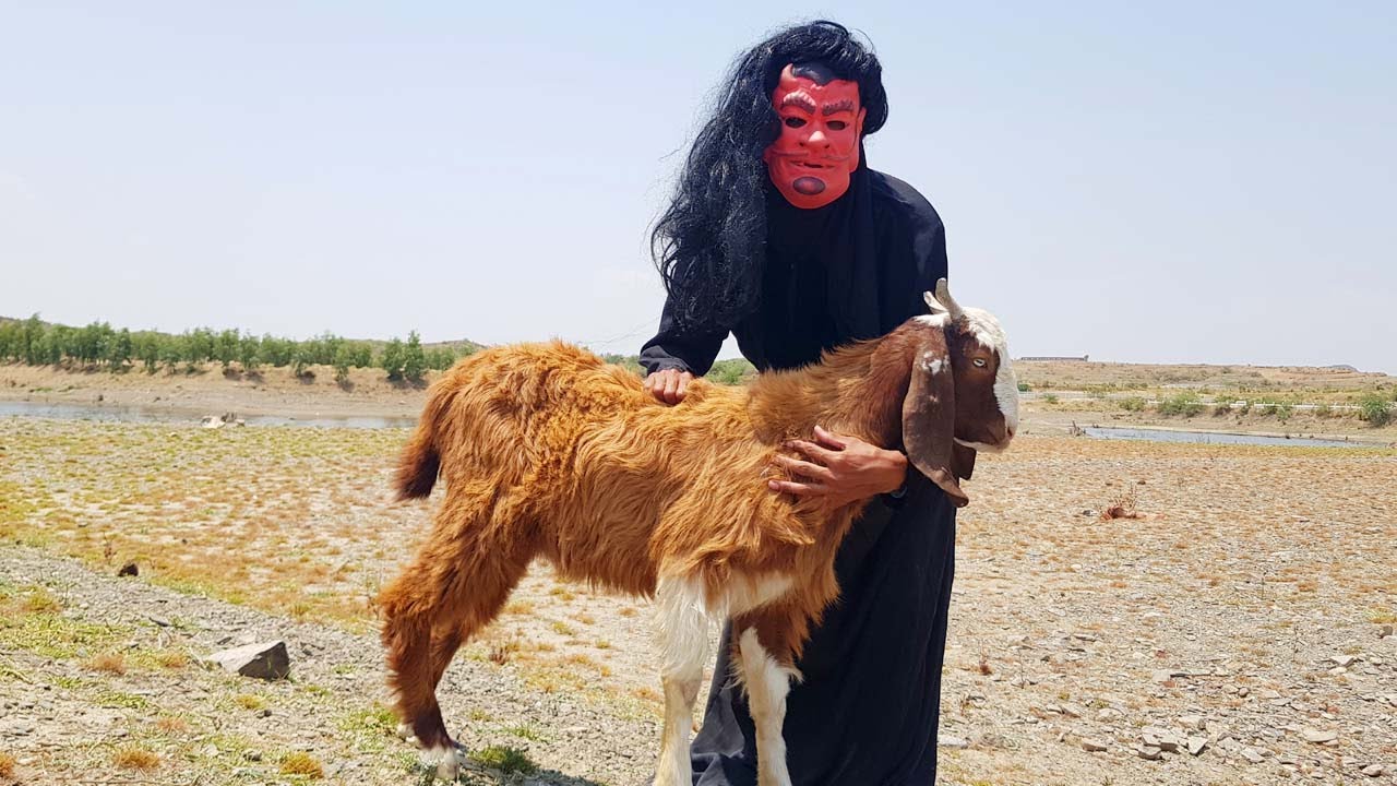 Shaitan Vs Qarza Laina | Shaitan Vs Bakra Eid | Power Of Bismillah ...