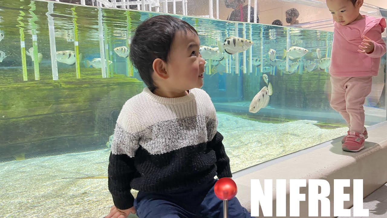 Twins visits NIFREL. (part aquarium, zoo, and art museum in Osaka ...