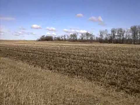 seeding CPS wheat - YouTube