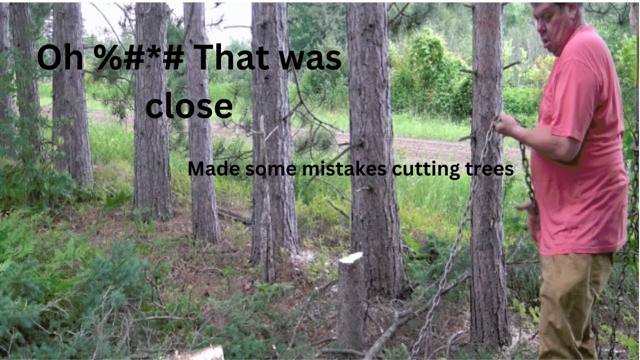 Problems cutting down trees Episode 1-16 - YouTube