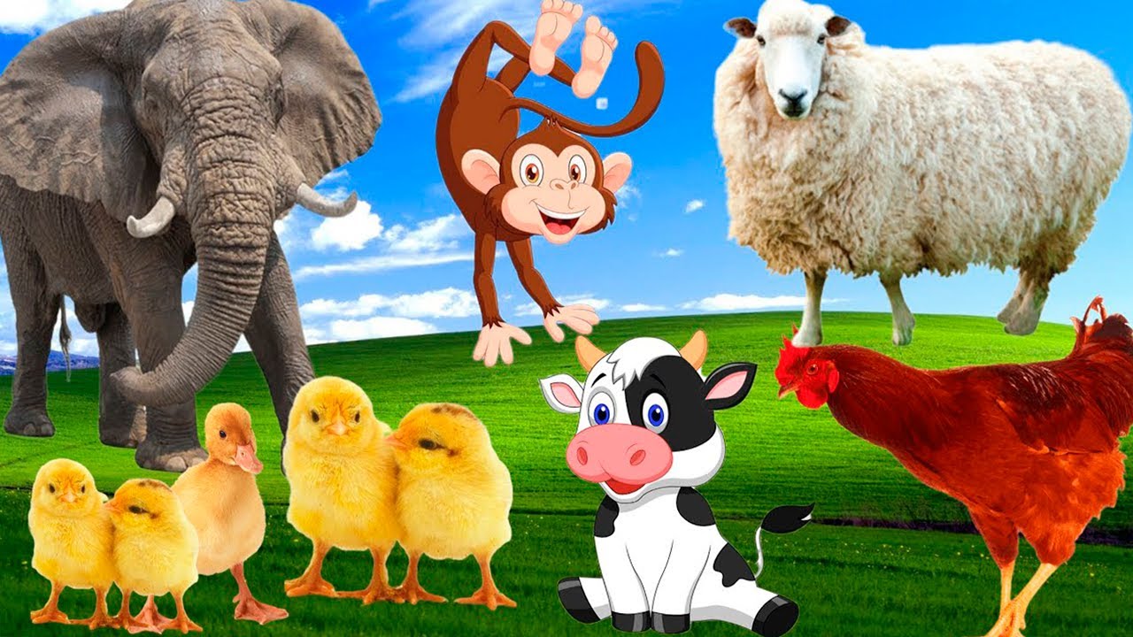 Cute Little Farm Animal Sounds - Cow, Deer, Sheep, Giraffe, Swan ...