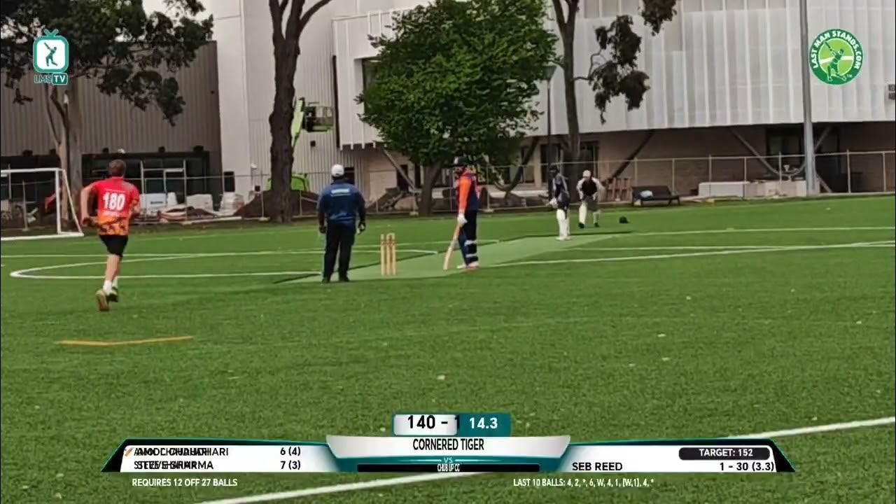 Match Highlights: Chub Up CC Vs Cornered Tiger - YouTube