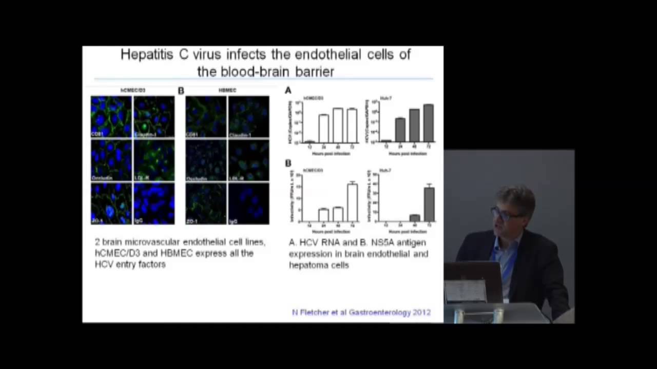 16th ISHEN Symposium, London, September 2014 - Dan Forton - YouTube