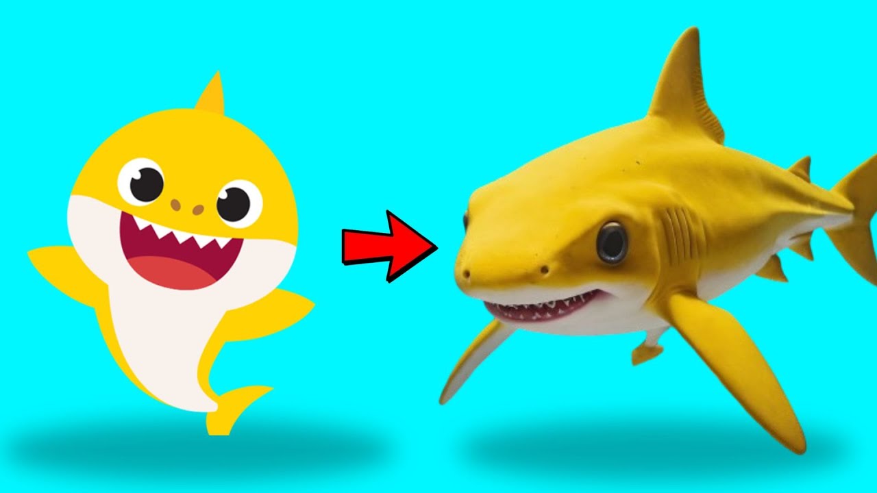 baby shark Characters In Real Life - YouTube