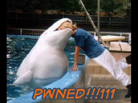 FUNNY AND PAINFUL PICTURES - YouTube