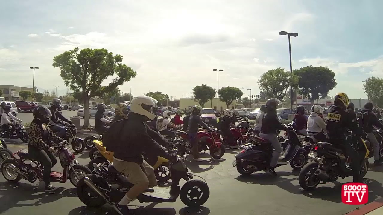 Scoot Tv (66) Super Sunday 592 Rider Roll Out • Honest™ - YouTube
