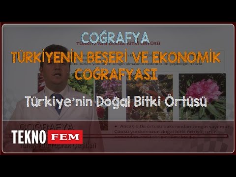 YGS-LYS COĞRAFYA - Türkiye'nin Doğal Bitki Örtüsü