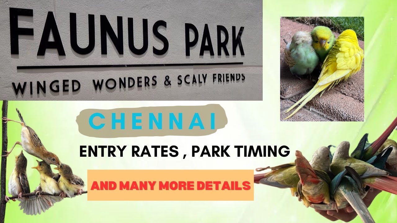 Faunus park chennai panaiyur ECR faunus park entry ticket price rates ...