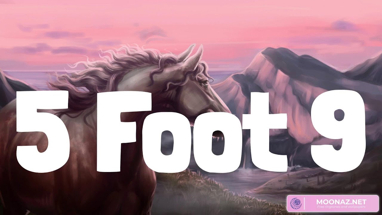 5 Foot 9 (Lyrics Mix) Tyler Hubbard, Lee Brice, Zac Brown Band, Megan ...