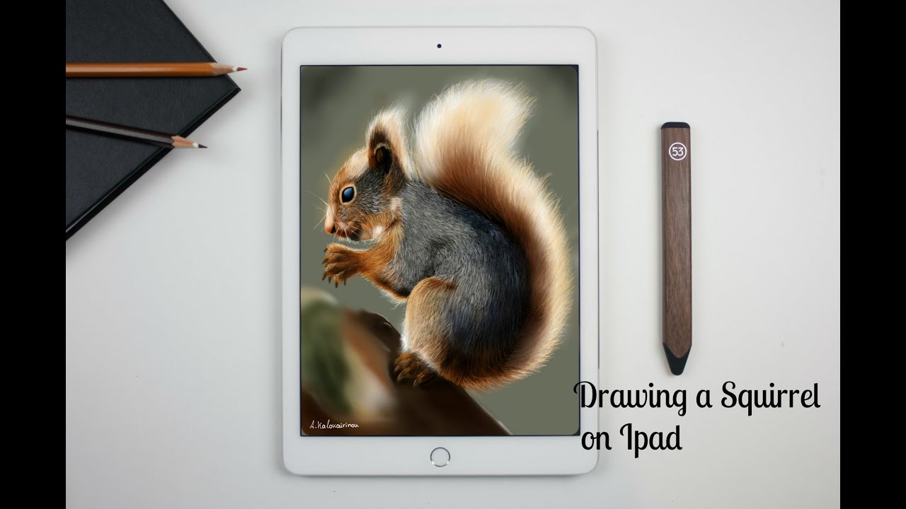 How I Draw A Squirrel on Ipad with: Paper by 53 - YouTube