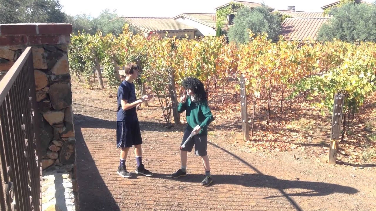 Samson Bible Project - YouTube